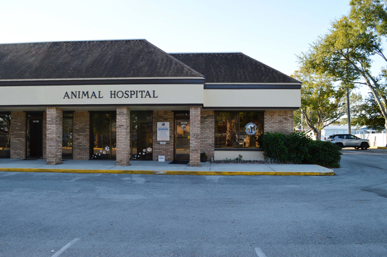 Our Pet Hospital - Largo, FL - Seminole Boulevard Animal Hospital