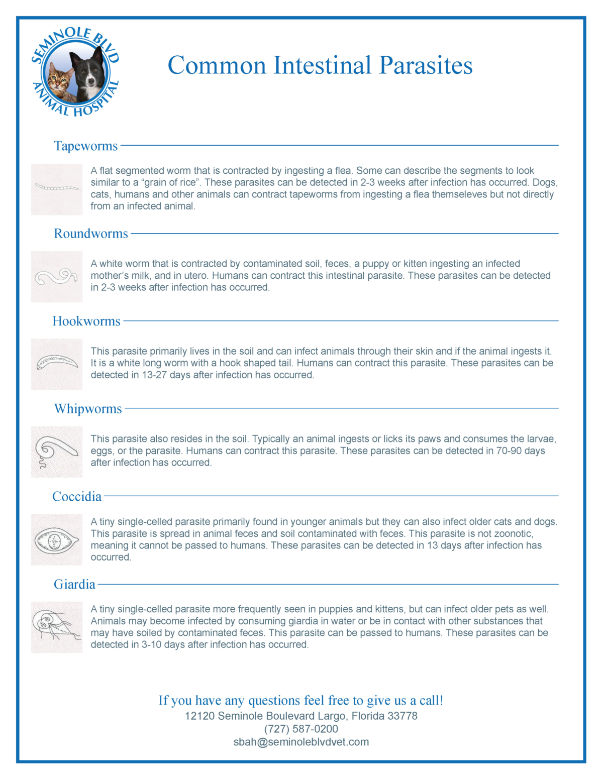 Client Handouts - Largo, FL - Seminole Boulevard Animal Hospital