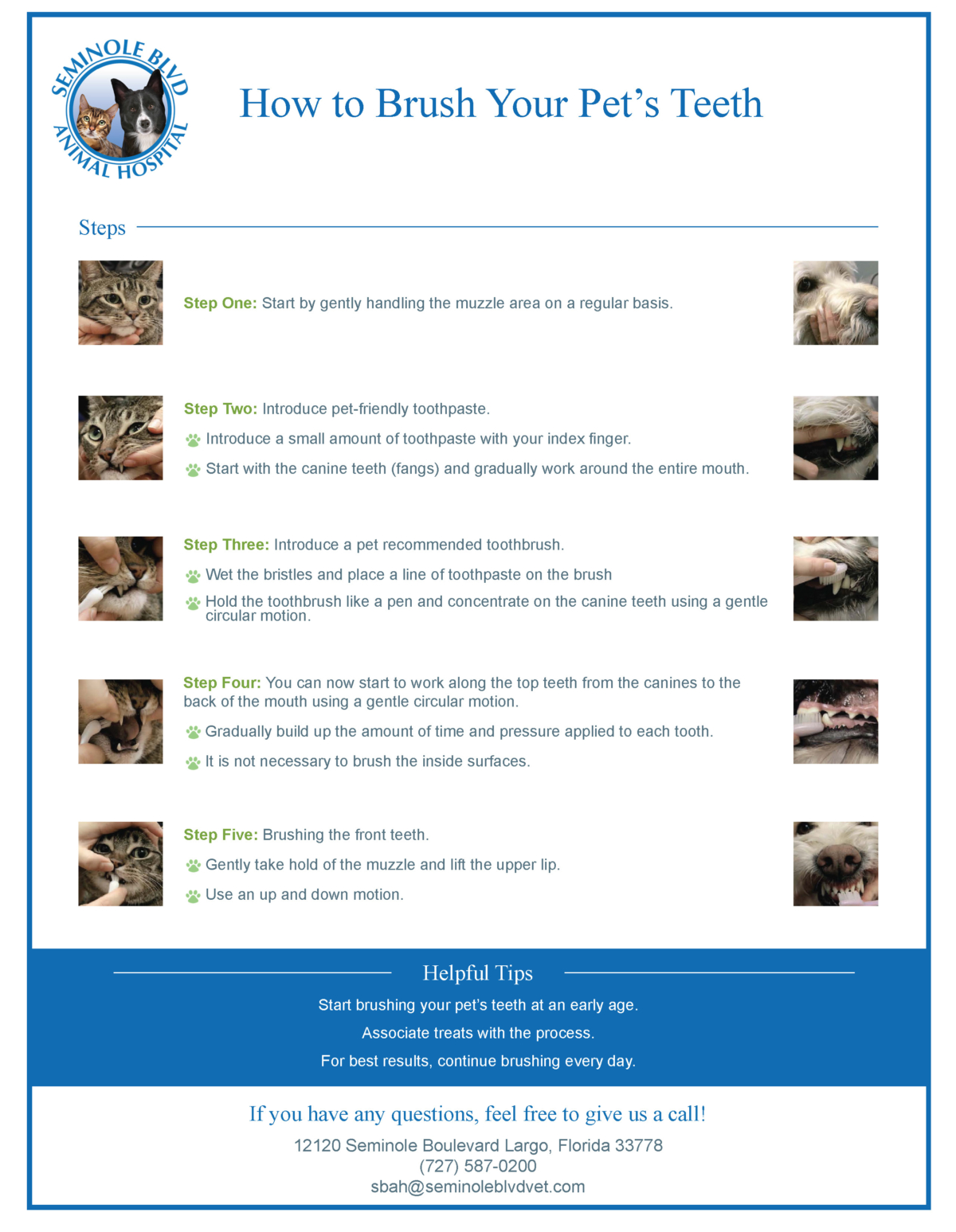 Client Handouts - Largo, FL - Seminole Boulevard Animal Hospital